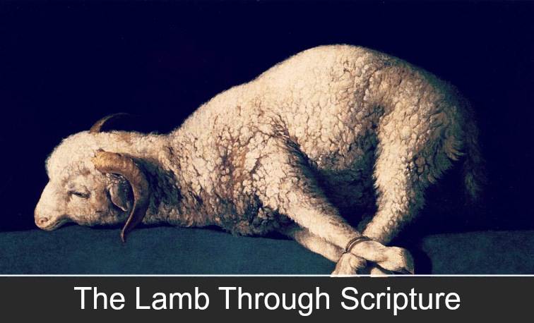 Pastor’s Page - Word Of Messiah Ministries