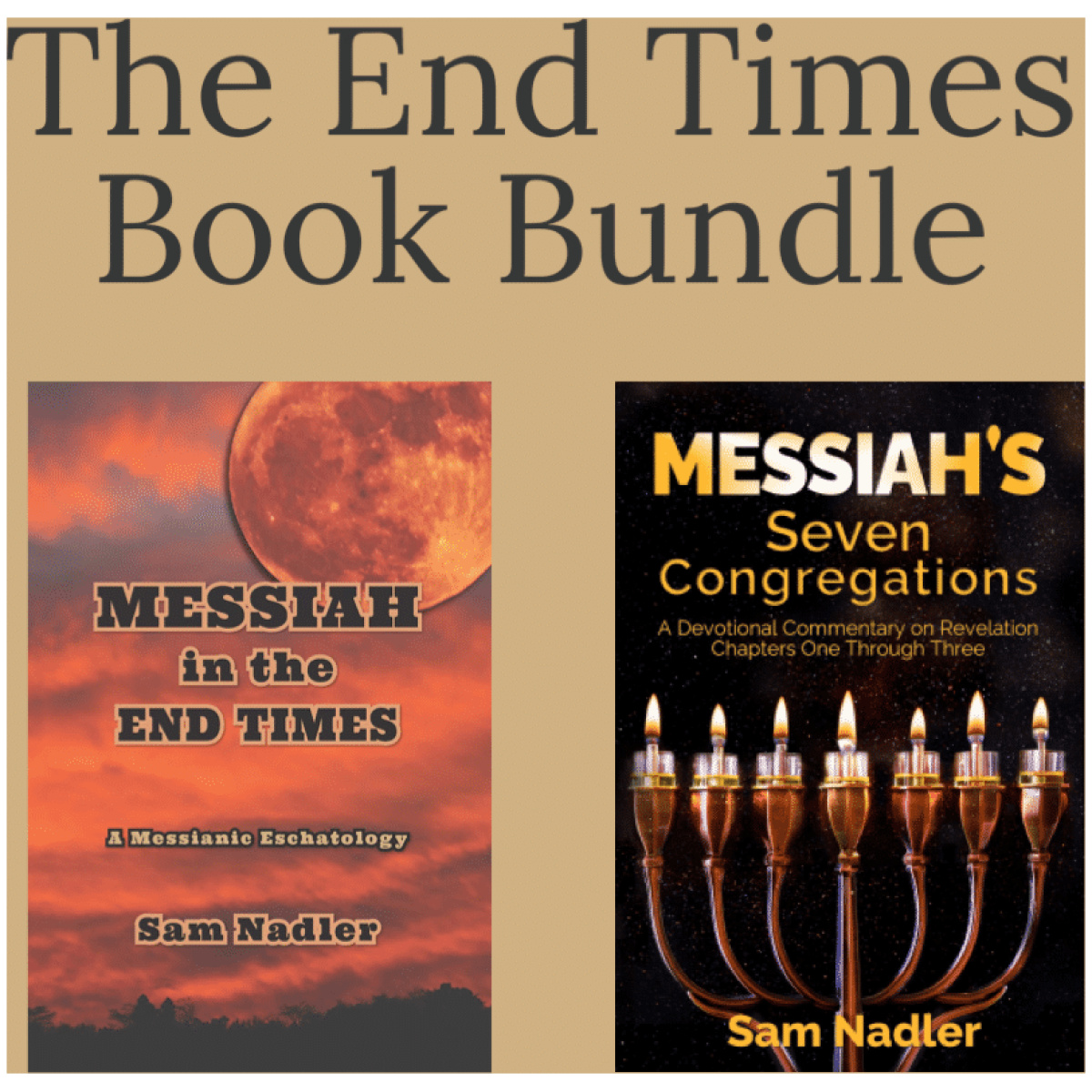 The End Times Book Bundle - Word Of Messiah Ministries
